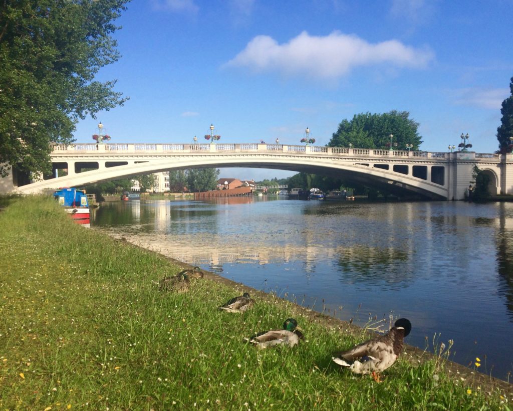 Reading Bridge – Travels with Verne and Roy