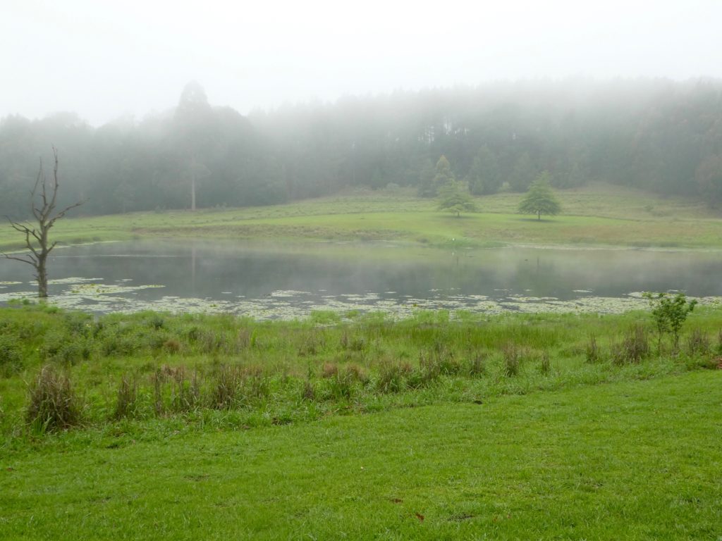 KZN Midlands Meander – Road Trip for Three – Travels with Verne and Roy